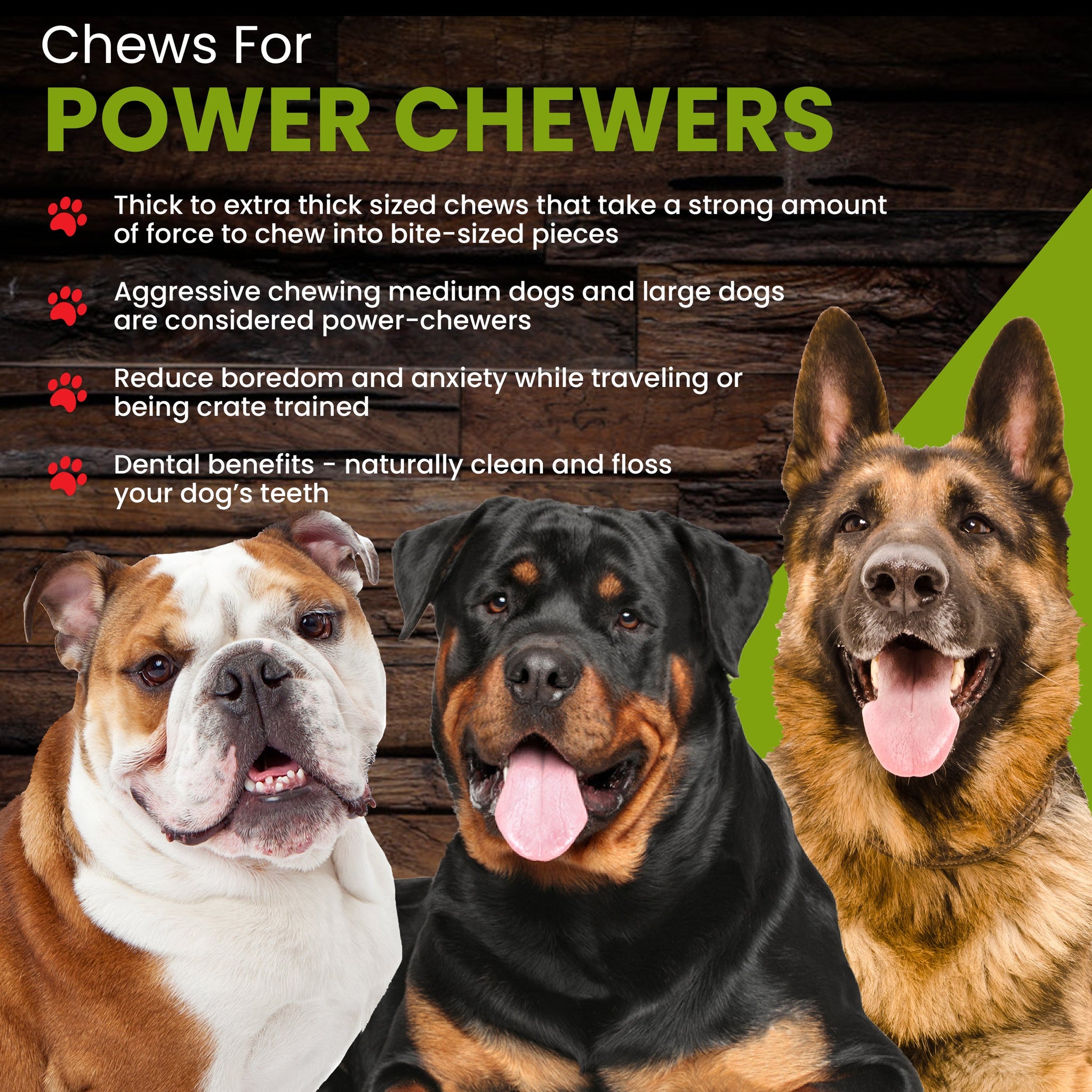 Healthy Dog Treats |Bully Sticks for Dogs | Sancho & Lola's Closet